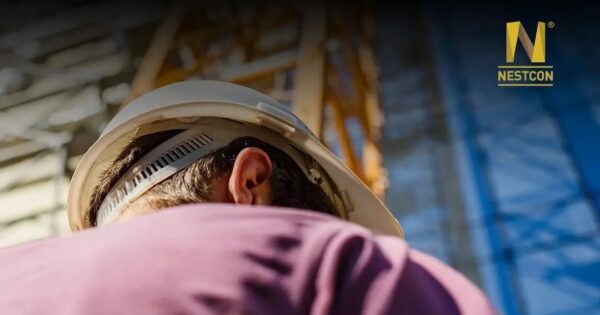 Nestcon plans diversification into renewable energy to expand revenue ...